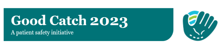 November Good Catch Champions